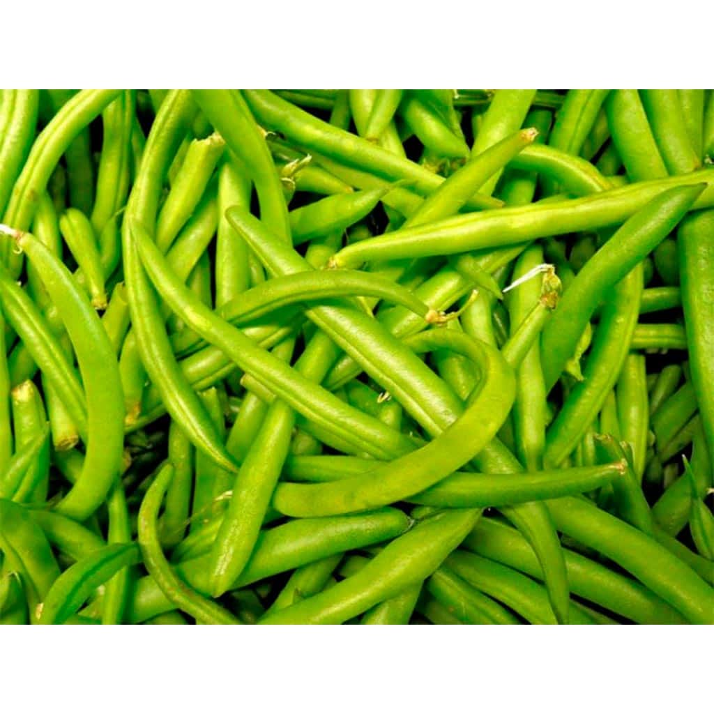 Ejote | Mejor Organico