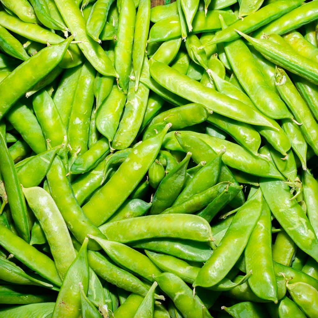 Chicharo | Mejor Organico