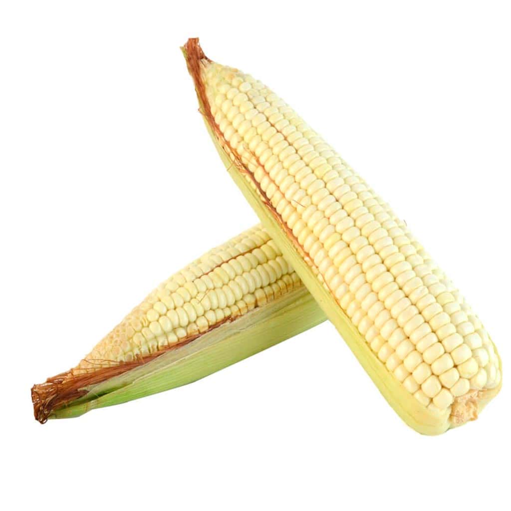 Elote | Mejor Organico