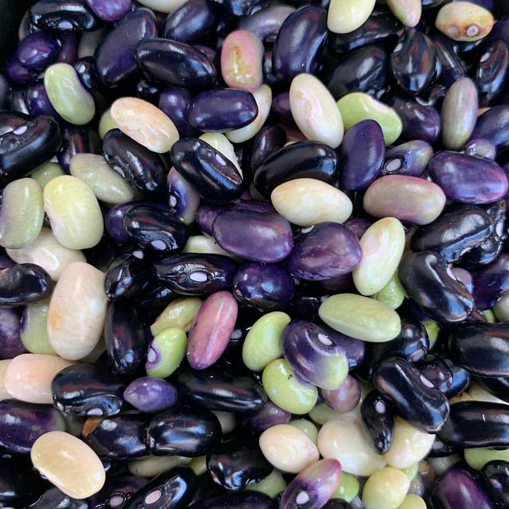 Frijol tierno | Mejor Organico