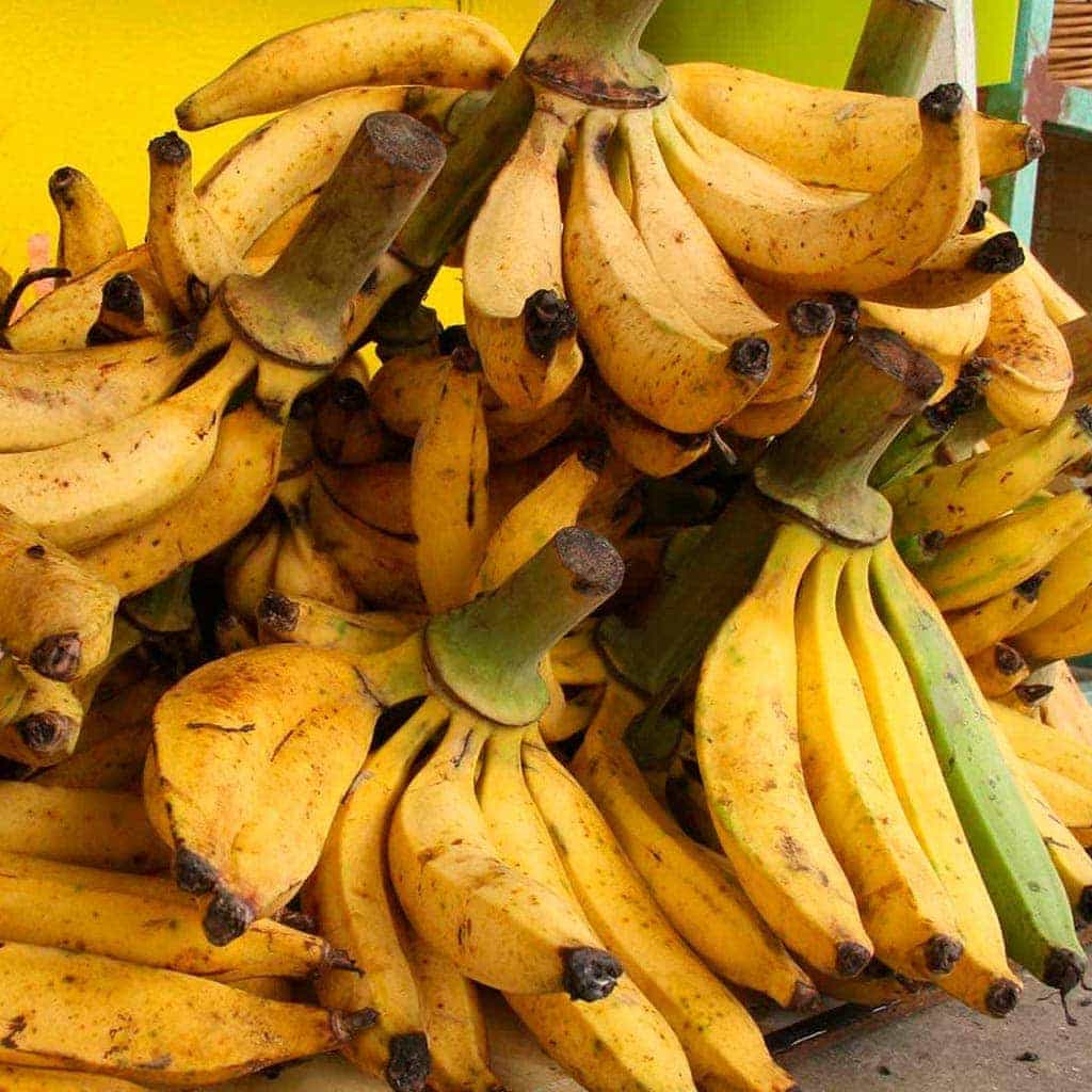 Plátano Macho | Mejor Organico